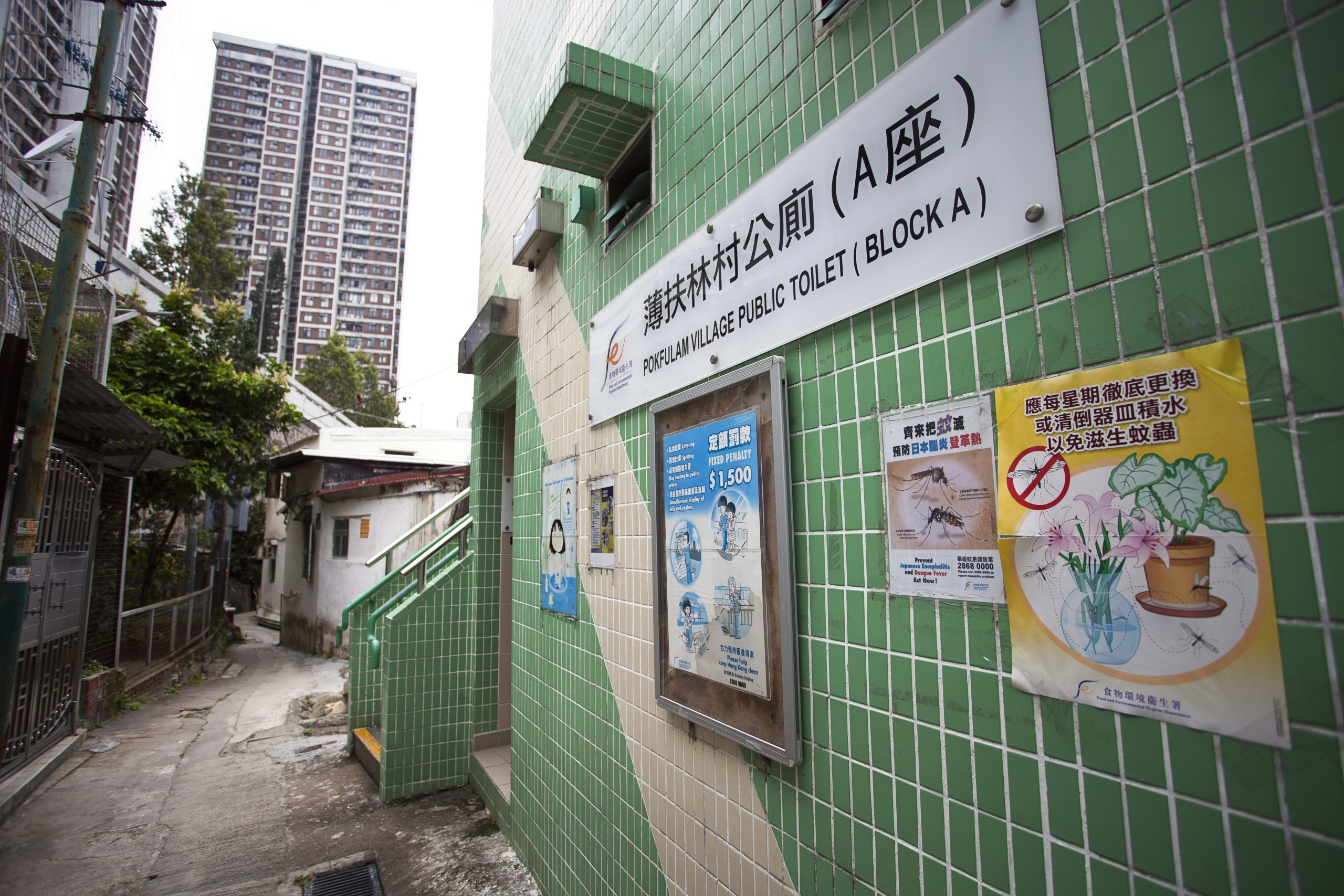 The Last Villages in Hong Kong, Pokfulam – David Woo